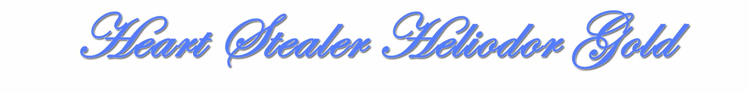 Heliodor Gold :: Heart Stealer Maine Coon Cat Cattery